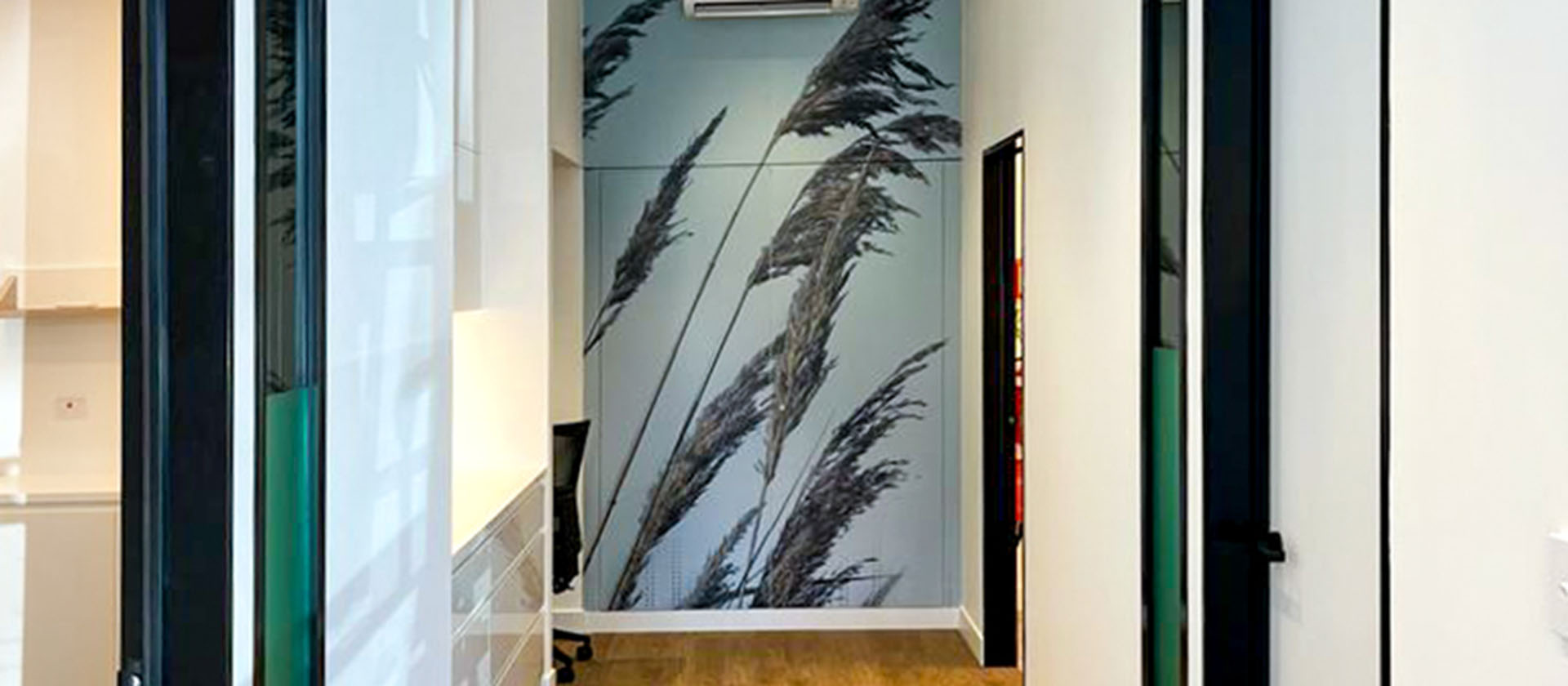 Audika | Corva, NZ
